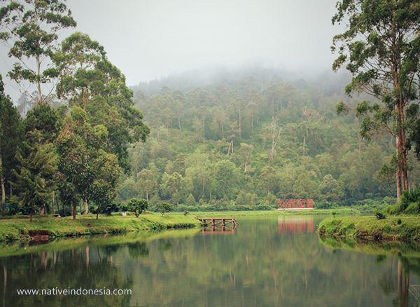 Indahnya Situ Cisanti Bandung Yang Masih Alami, OK bgt deh!