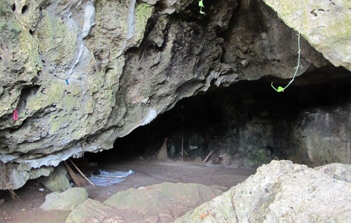 Taman Nasional Alas Purwo, Cagar Alam dan Wisata Yang Unik