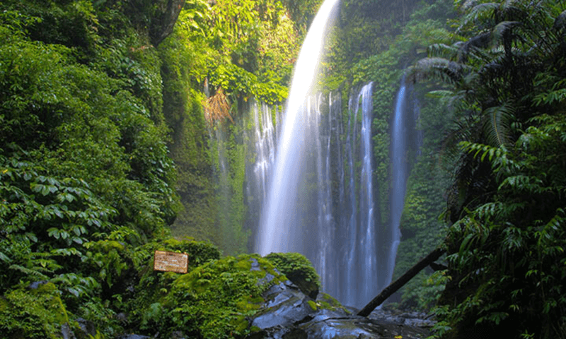 Air Terjun Sendang Gile, Air Terjun Tiu Kelep Keindahan Lombok Utara ...