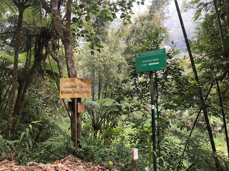 Air Terjun Tretes Wonosalam, Wisata Ke Salah-Satu Air Terjun Tertinggi ...