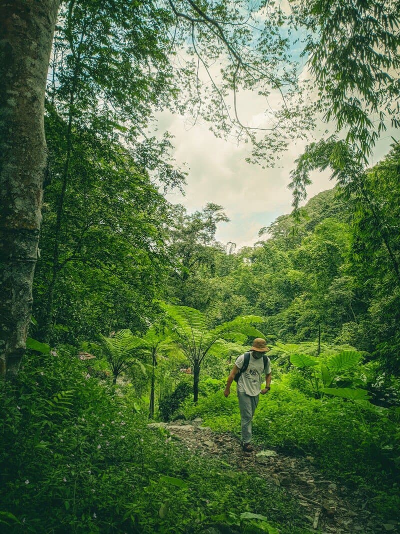 Air Terjun Tretes Wonosalam, Wisata Ke Salah-Satu Air Terjun Tertinggi ...