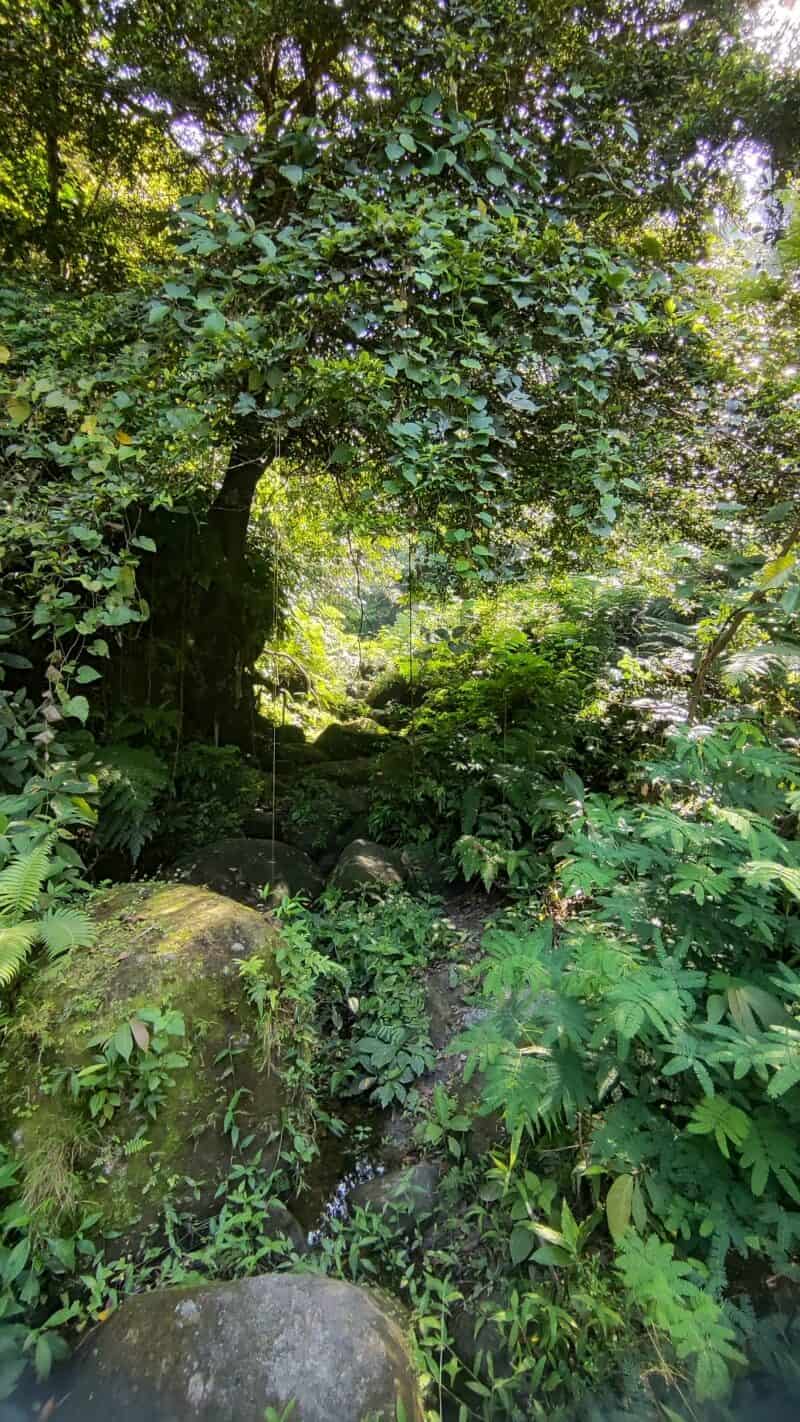 Air Terjun Lau Berte, Objek Wisata Langkat Yang Sangat Ekstrim ...