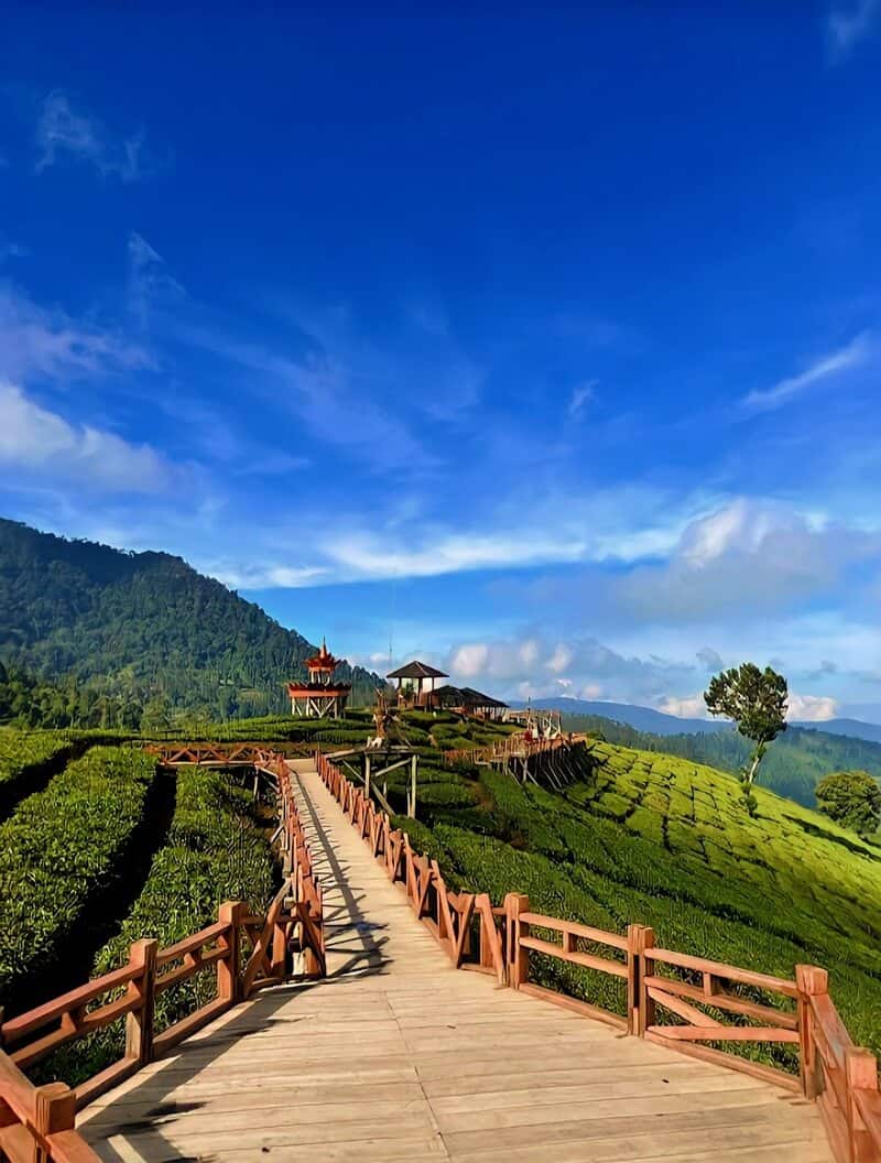 Wayang Windu Panenjoan, Eloknya Hamparan Kebun Teh Di Pangalengan Bandung – NativeIndonesia.com