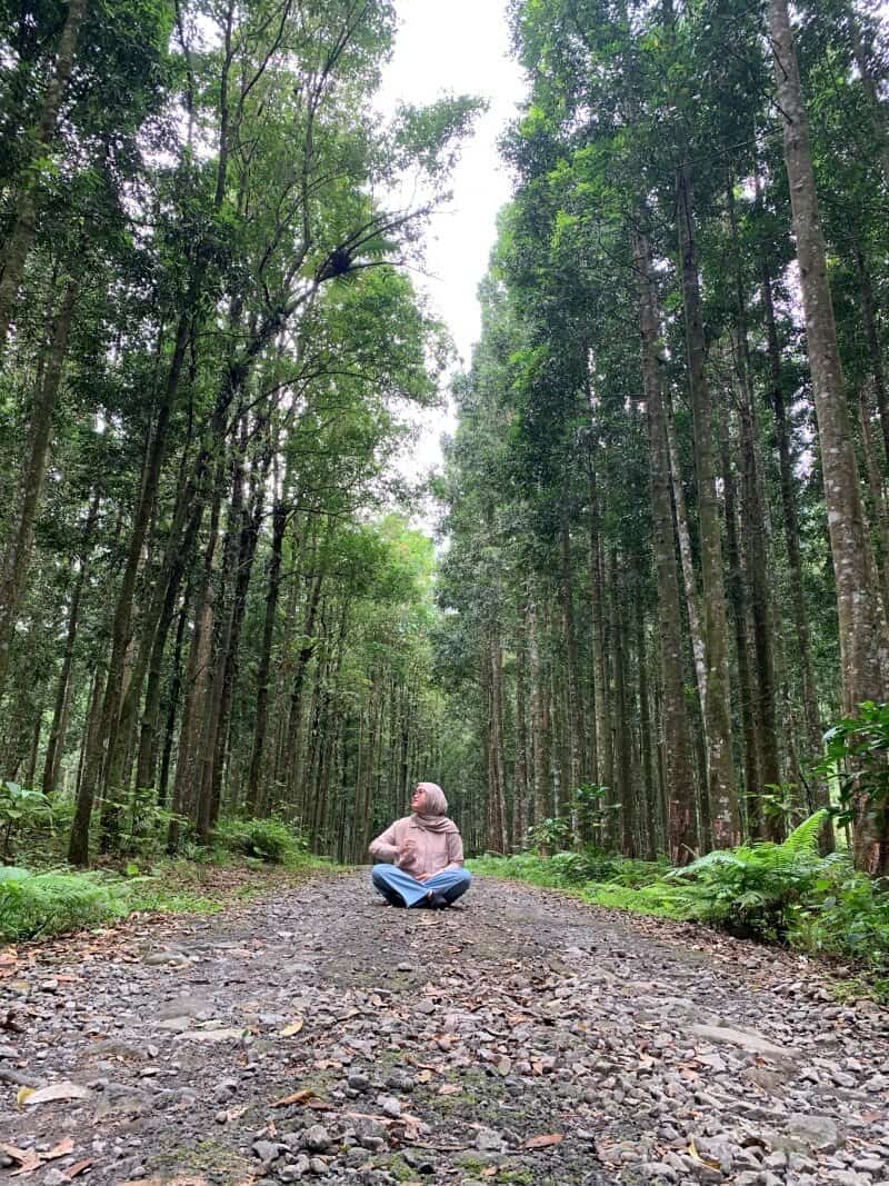 Curug Gomblang, Update Terbaru Dan Info Lengkap Wisata Banyumas ...