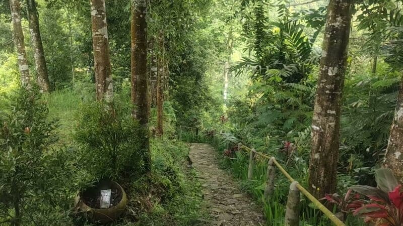 Curug Gomblang, Update Terbaru Dan Info Lengkap Wisata Banyumas ...