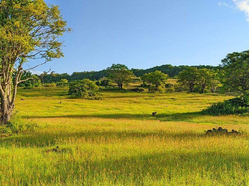 Pulau Tomia, Destinasi Wisata Di Wakatobi Yang Nggak Boleh Dilewatkan ...