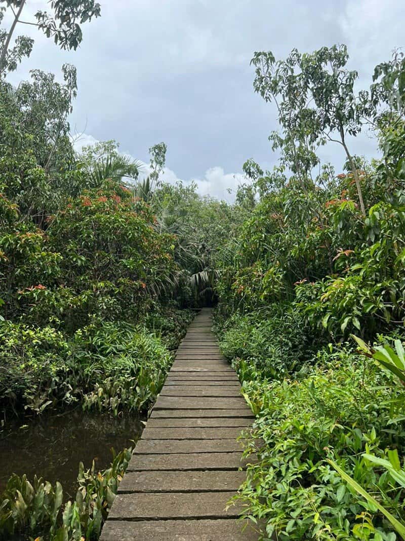 Pulau Kembang, Pesona Dan Mitos Di Tengah Sungai Barito ...
