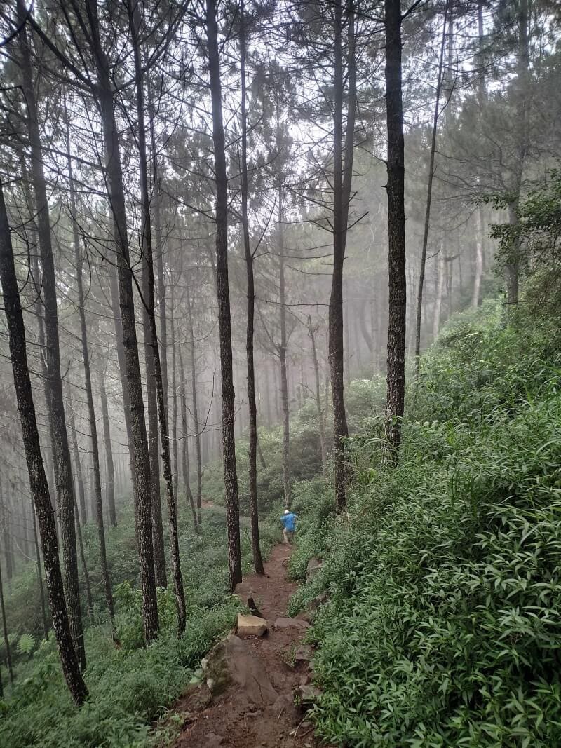 Gunung Andong, Puncak Keindahan Yang Berbalut Misteri – NativeIndonesia.com