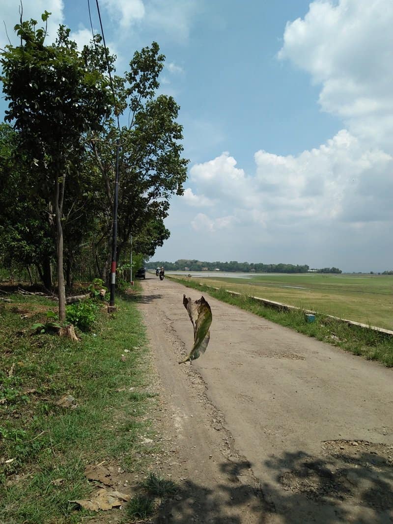 Situ Sedong, Surganya Para Mancing Mania – NativeIndonesia.com