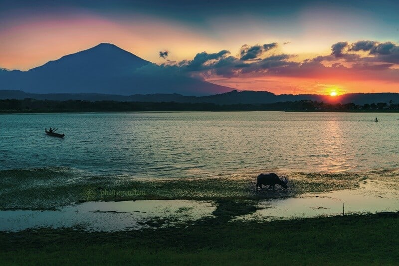 Situ Sedong, Surganya Para Mancing Mania – NativeIndonesia.com