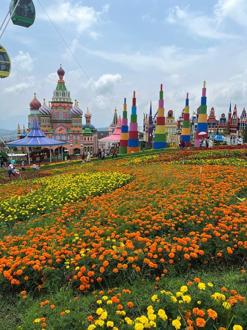 Taman Bunga New Celosia, Wisata Semarang Bak di Negeri Dongeng ...