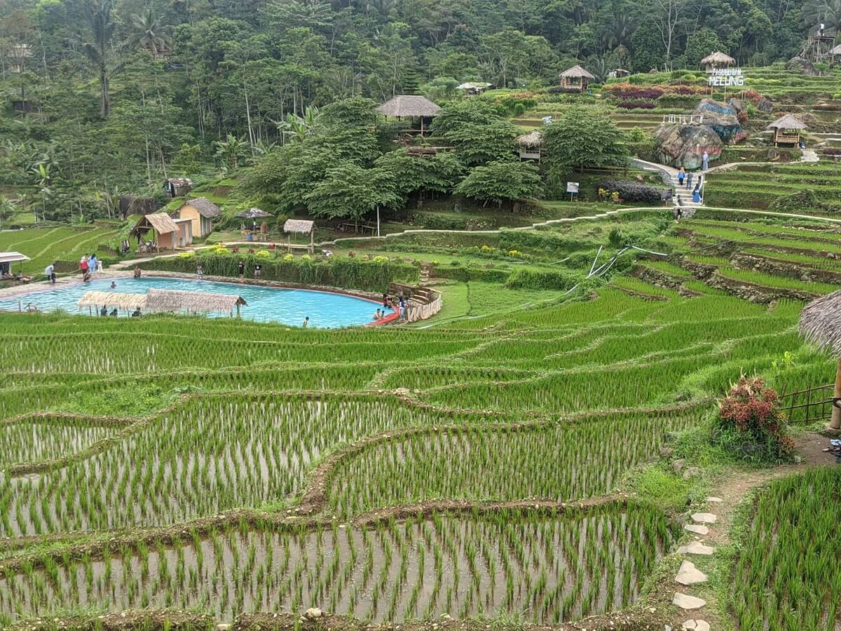 Wisata Pagubugan Melung, Wisata Air Purwokerto Di Tengah Sawah ...