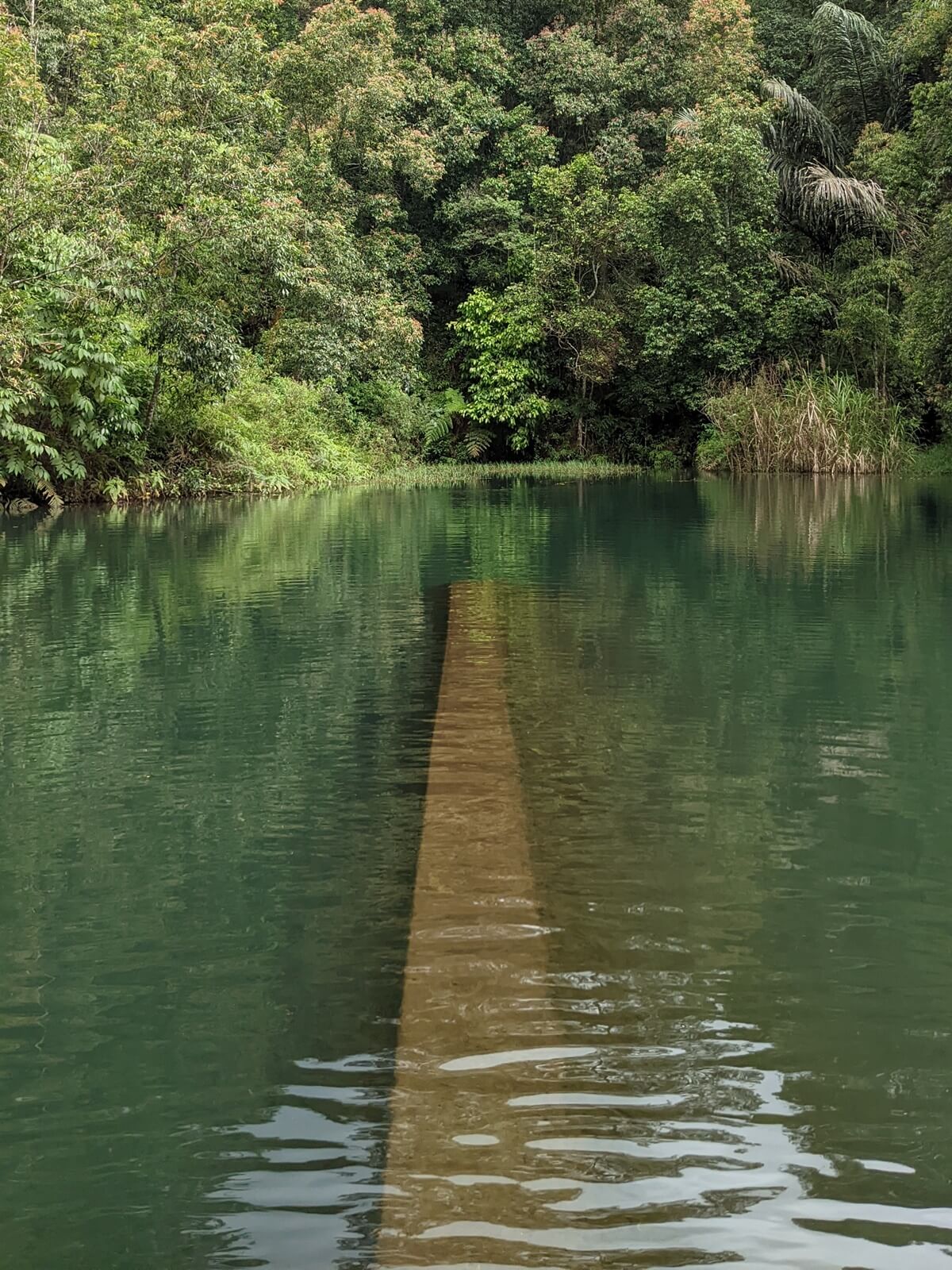 Danau Banaran, Spot Foto Alam Yang Cantik di Sukoharjo Kendal ...