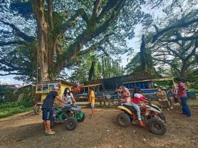 De Djawatan Forest, Pesona Hutan Magis di Banyuwangi – NativeIndonesia.com