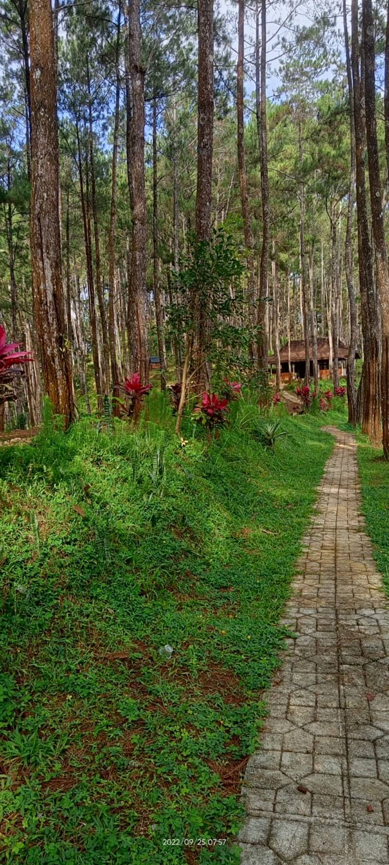 Bukit Sikepel, Wisata Purworejo Yang Hits, Dan Edukatif – NativeIndonesia.com