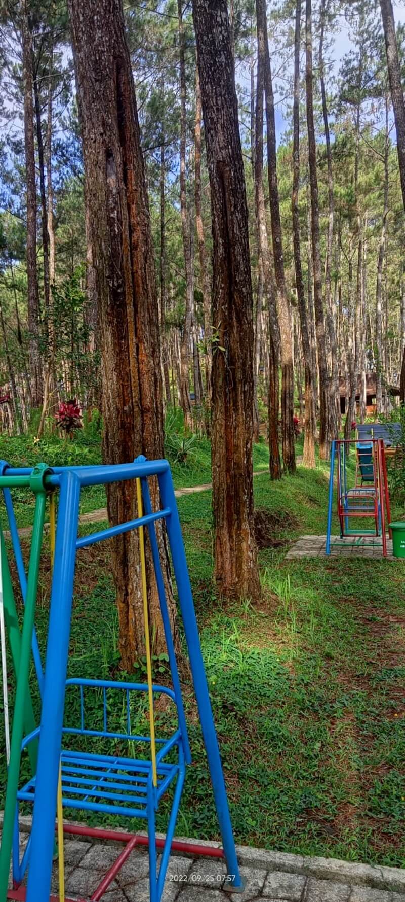 Bukit Sikepel, Wisata Purworejo Yang Hits, Dan Edukatif – NativeIndonesia.com