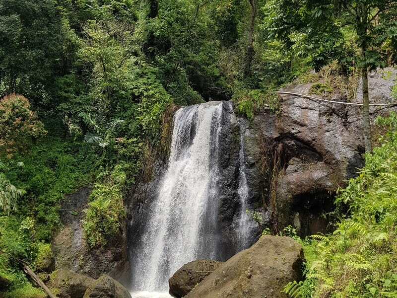 Curug Jaka Tarub, Pesona Di Antara Hutan Pinus Di Purworejo ...