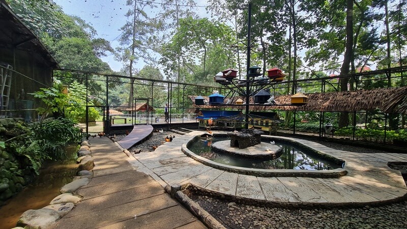 Cimory Forest Walk, Keseruan Keliling Hutan Di Tepi Sungai Ciliwung ...