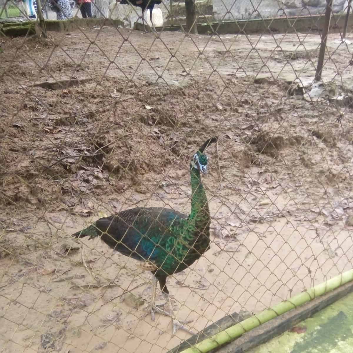 Waterpark Sumekar Sumenep, Tempat Liburan dan Rekreasi Pilihan Keluarga ...