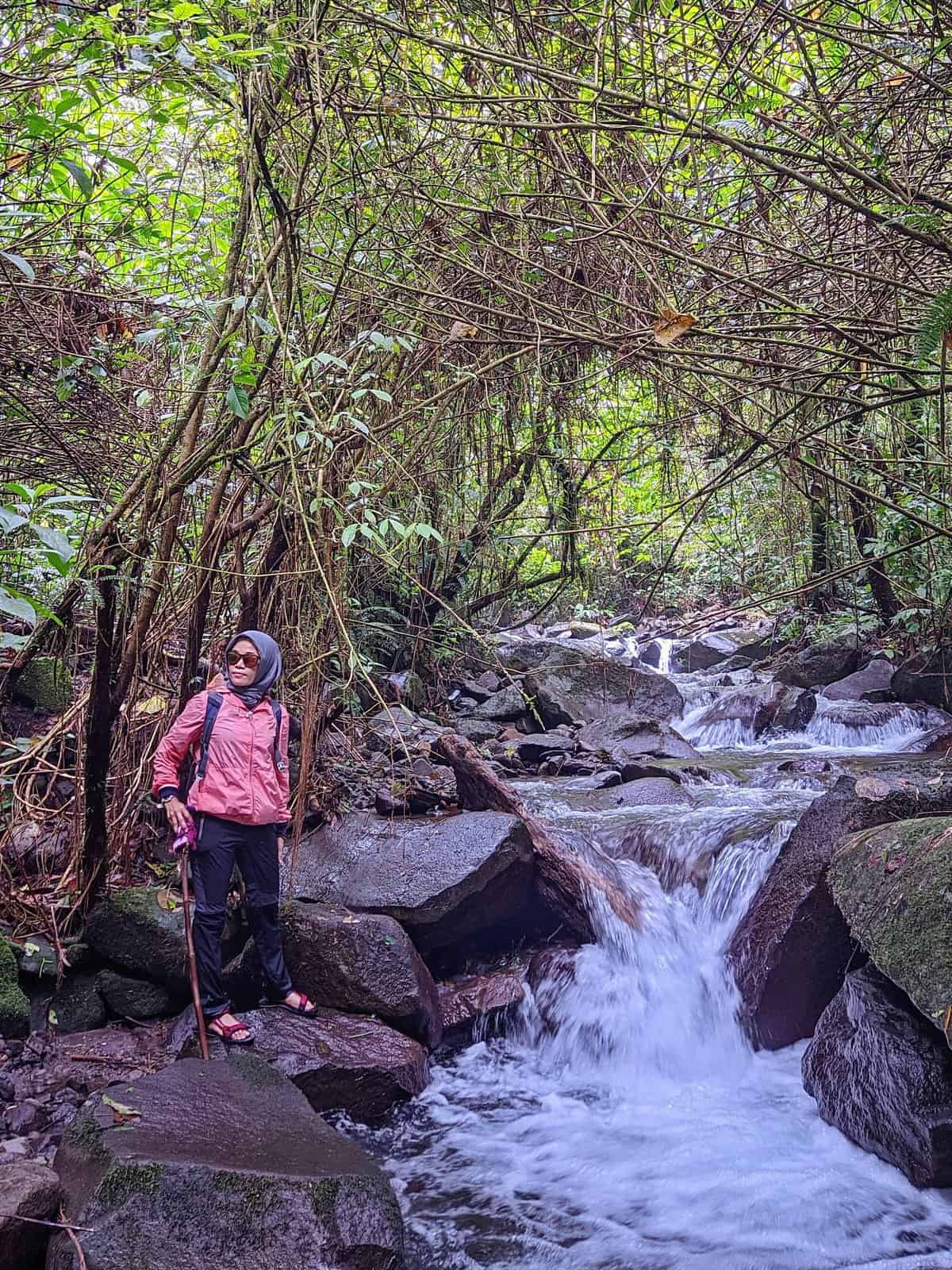 Air Terjun Lawean Tulungagung, Keindahan Alami di Lereng Gunung Wilis ...