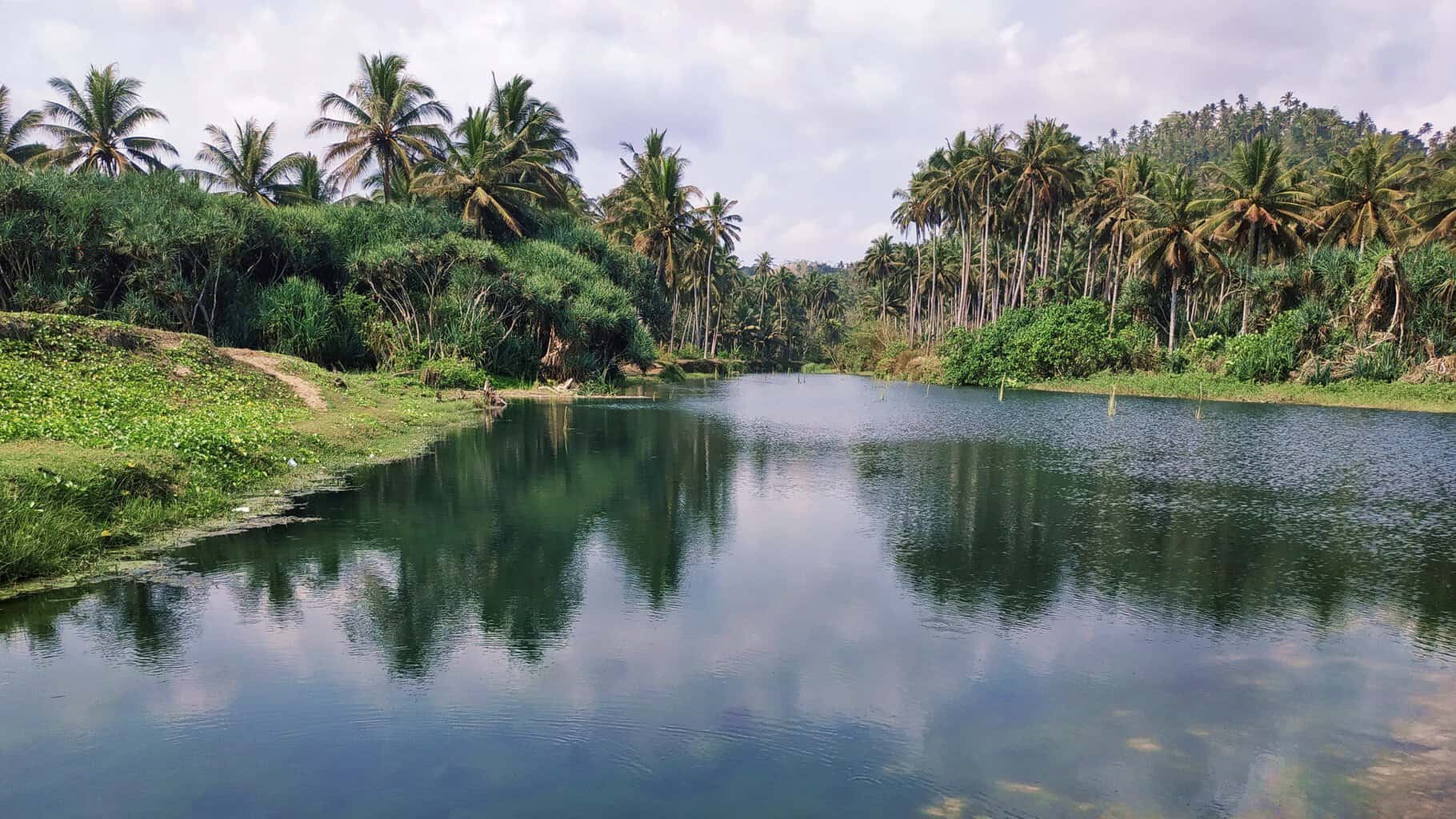 Pantai Dlodo Tulungagung, Pemandangan Alami Pantai Tropis yang ...