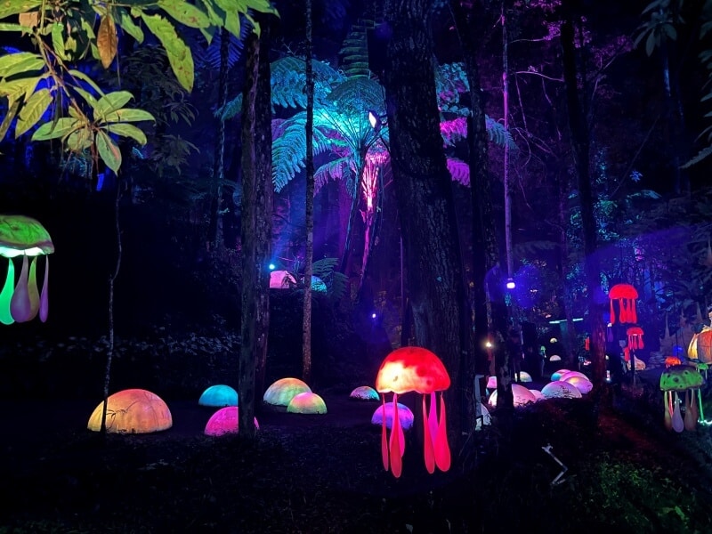 Hutan Mycelia, Wisata Lembang Yang Viral di Garfika Cikole ...