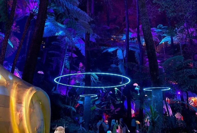Hutan Mycelia, Wisata Lembang Yang Viral di Garfika Cikole ...