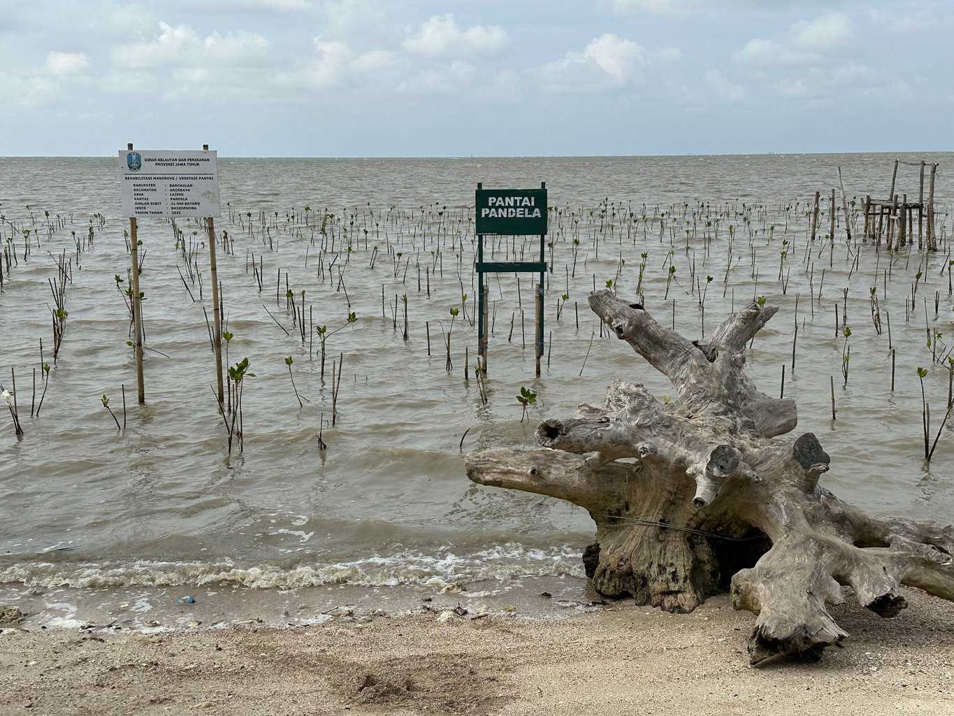 Pesona Keindahan Pantai Pandela di Bangkalan Jawa Timur ...