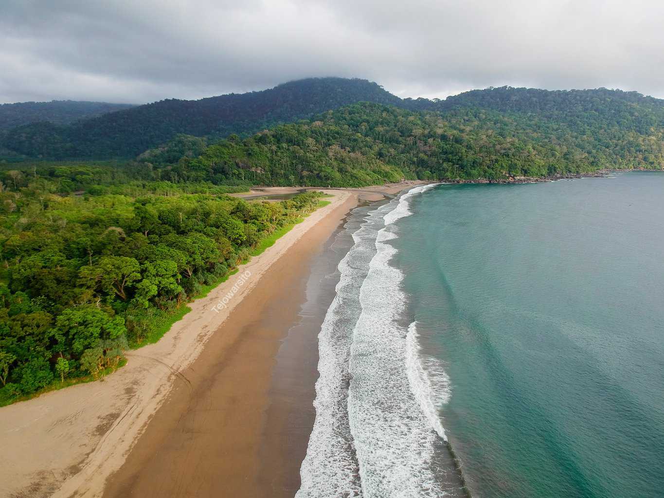 Pesona Eksotisme Wisata Pantai Bandealit di Taman Nasional Meru Betiri ...