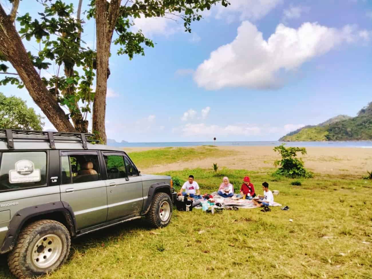 Pesona Eksotisme Wisata Pantai Bandealit di Taman Nasional Meru Betiri ...