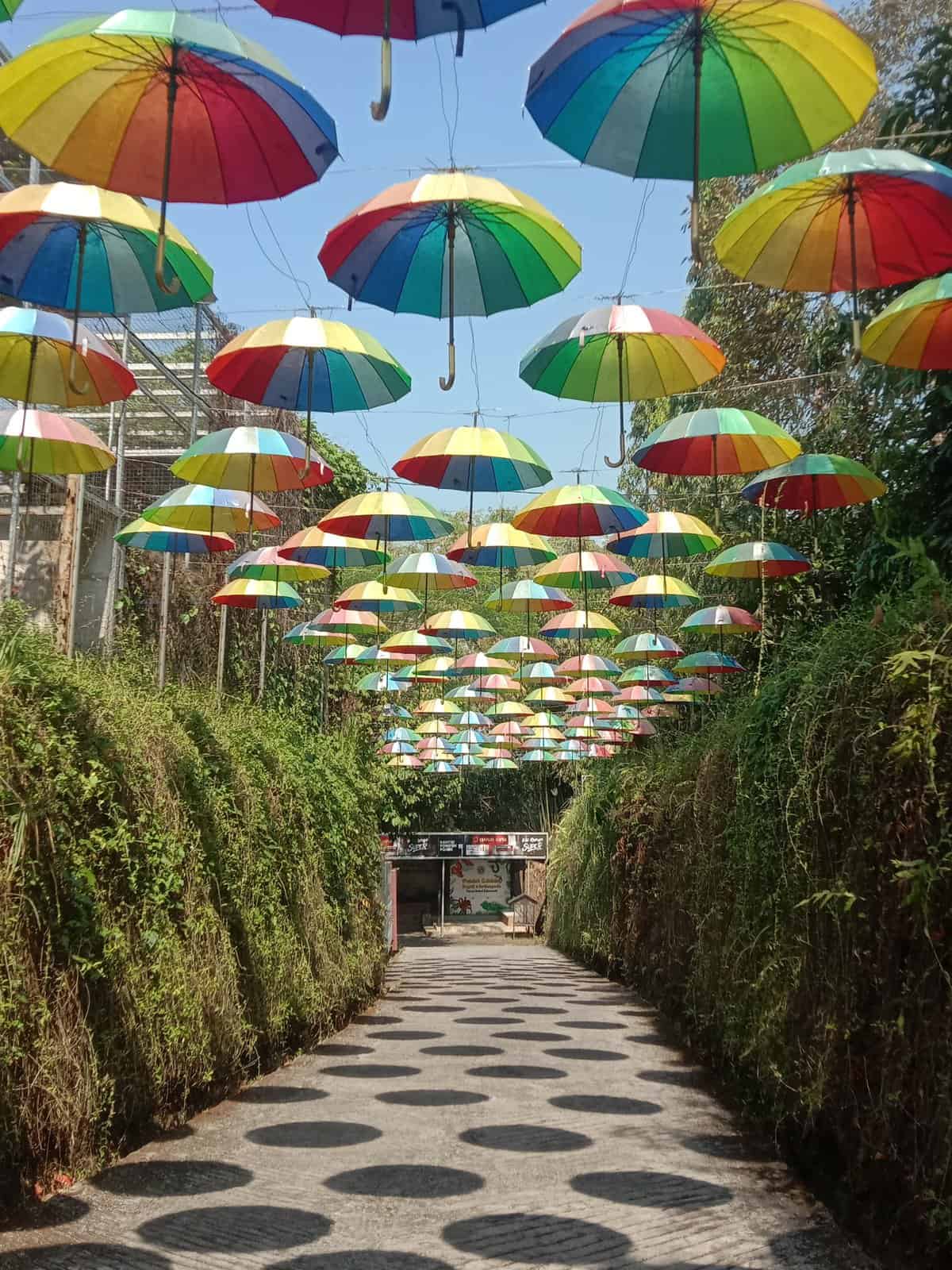 Taman Botani Sukorambi, Tempat Rekreasi, Edukasi dan Sajian Panorama ...