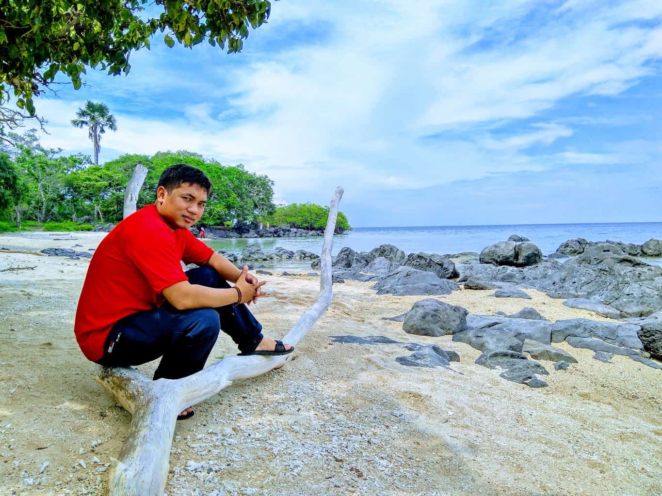 Pantai Batu Hitam, Pantai Indah Tersembunyi di TN Baluran Situbondo ...