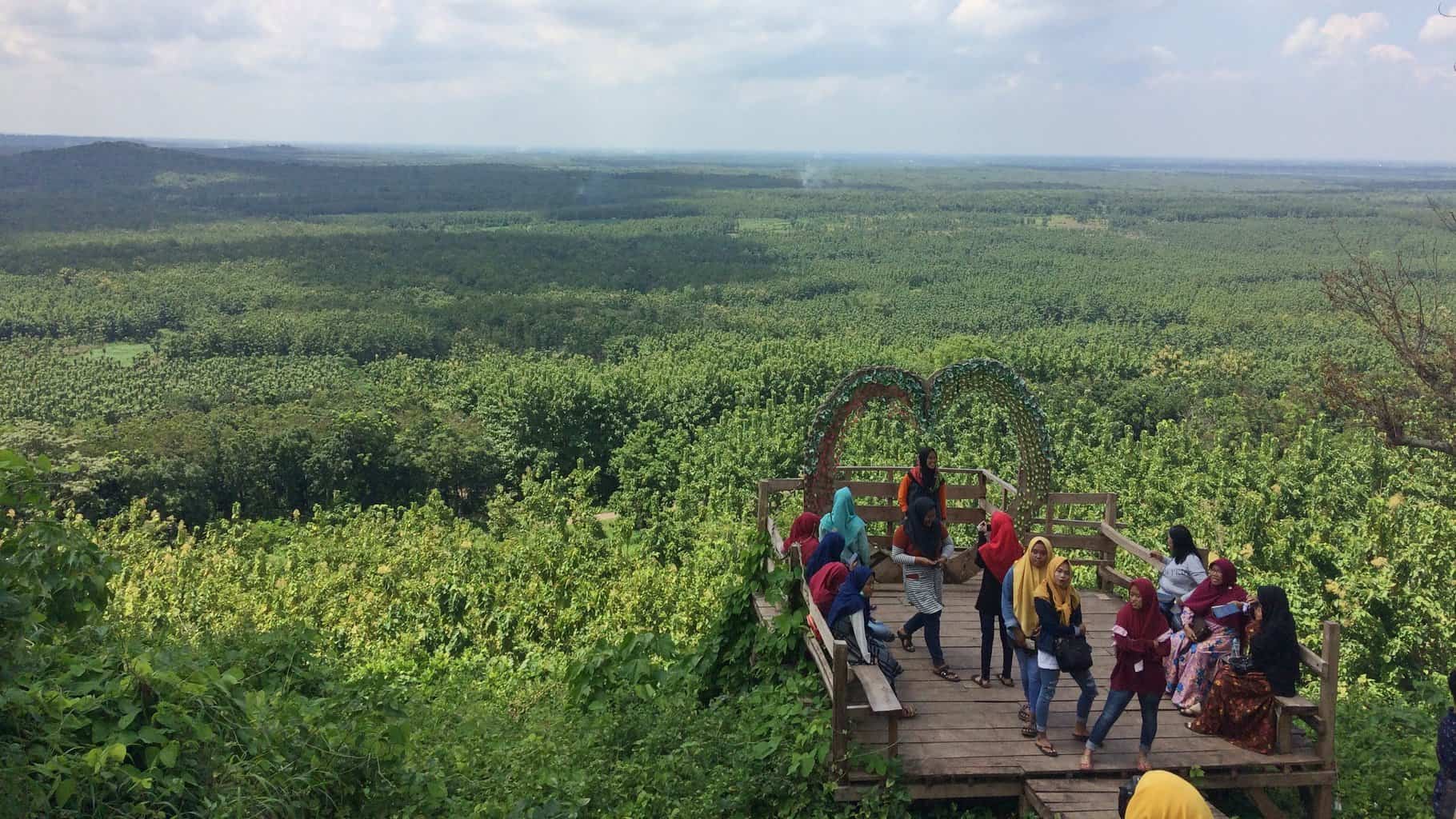 Wisata Akar Langit Trinil Lamongan, Dulu Sempat Menawan ...