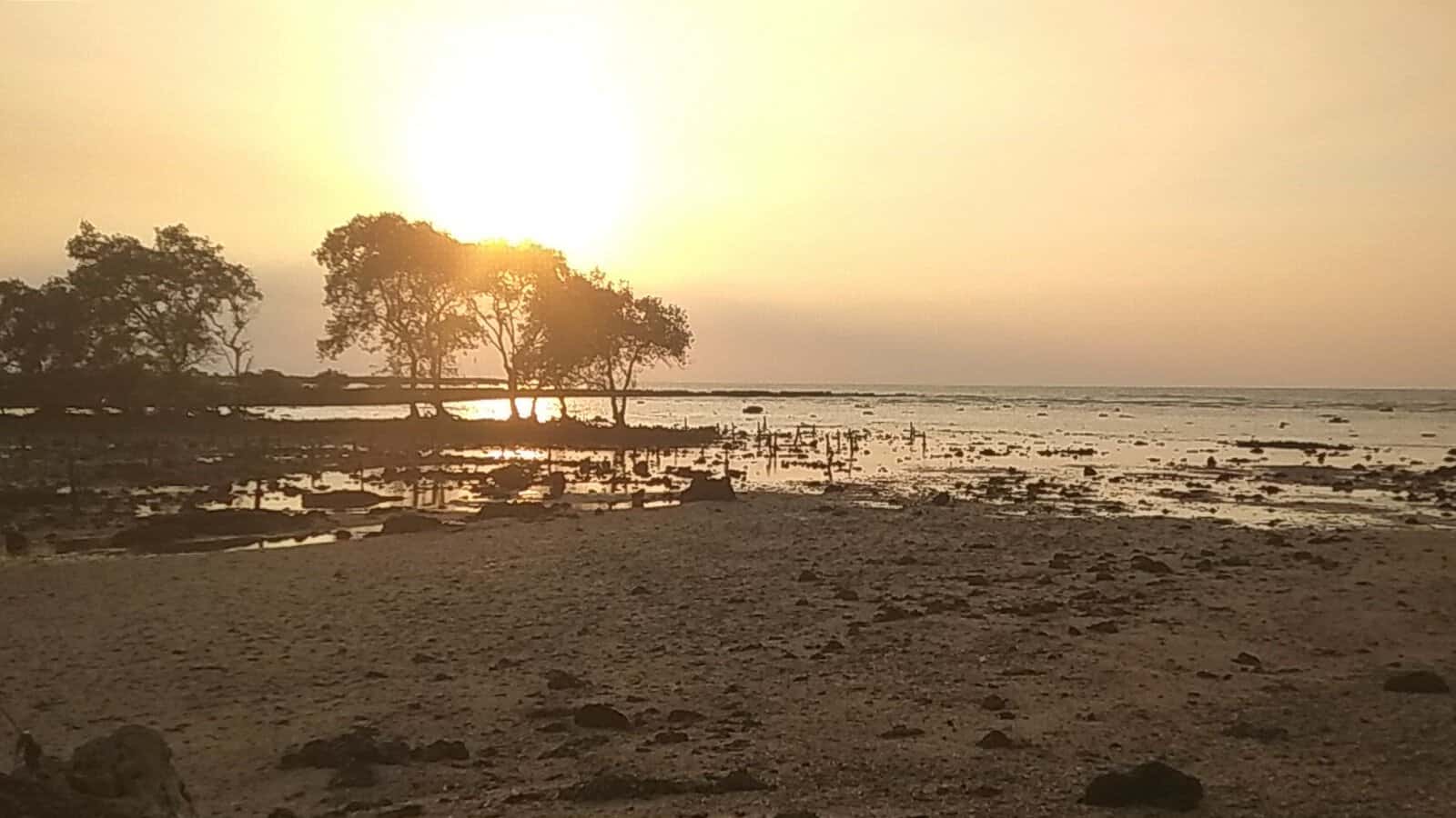 Suasana Tenang dan Sajian Pemandangan Alami di Pantai Joko Mursodo ...